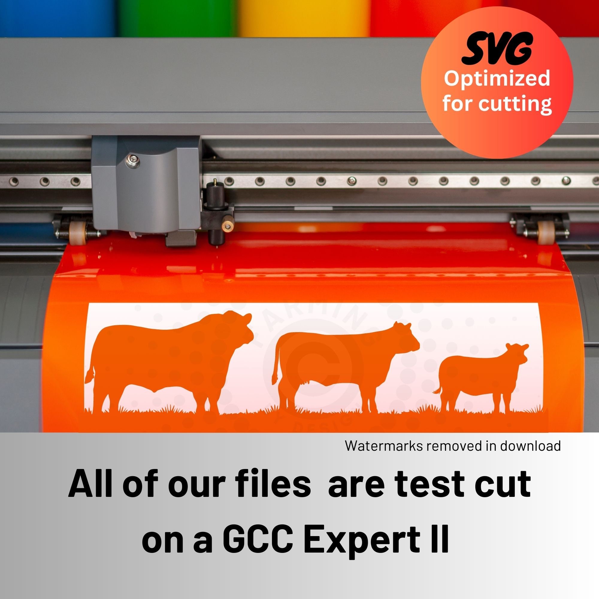 Aberdeen Angus Cattle SVG Silhouette - Etsy