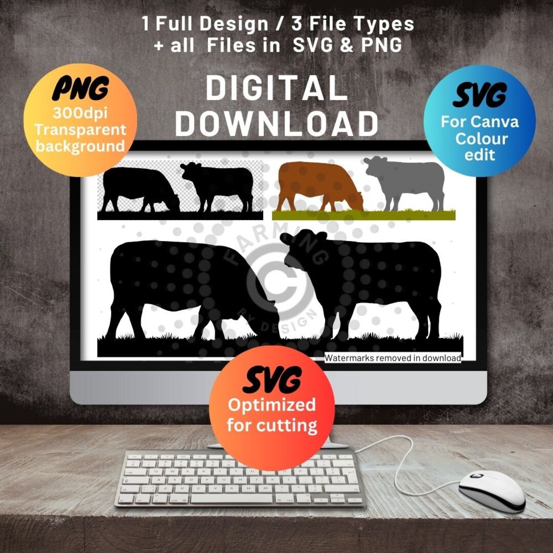 British Beef Cattle Heifers Silhouette SVG PNG - Etsy