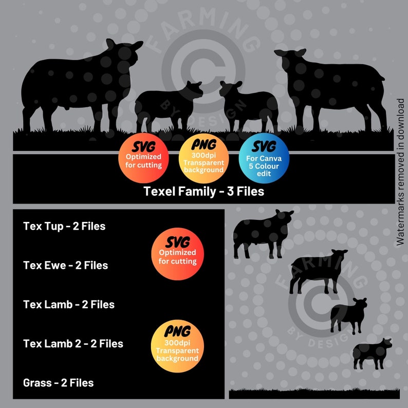 Texel Sheep Silhouette | SVG | PNG - Etsy