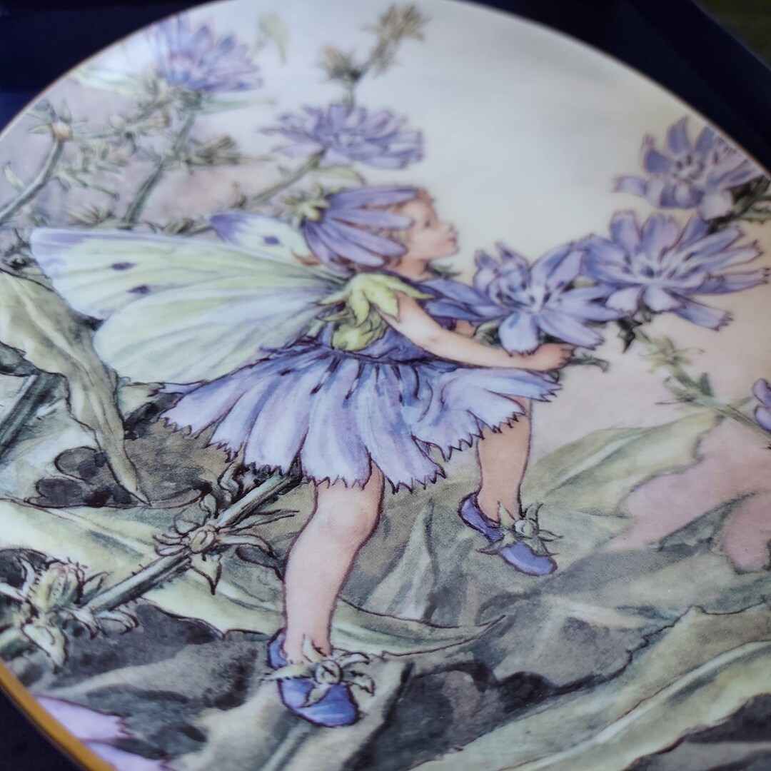 Vintage Flower Fairies Plate, Cicely Mary Barker, Chicory Fairy ...