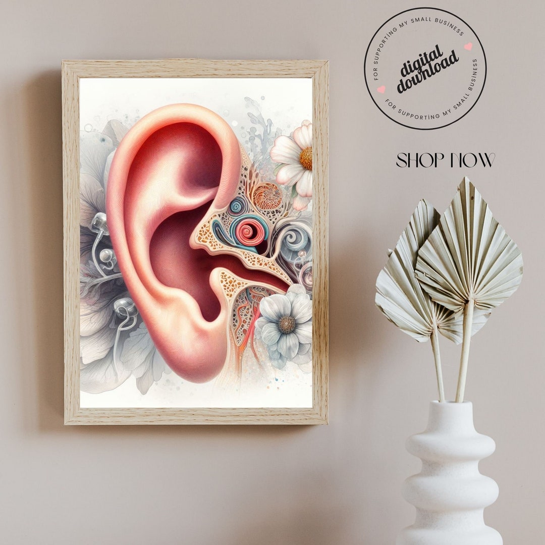 Anatomy of Human Ear Print, Audiology, Audiologist, AUD Graduation Gift ...