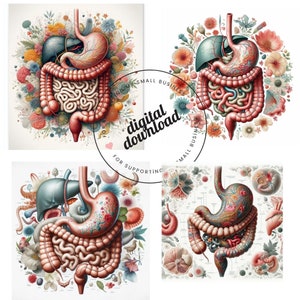 Anatomy of Digestive System, Stomach Anatomy Art, Gastroenterologist ...