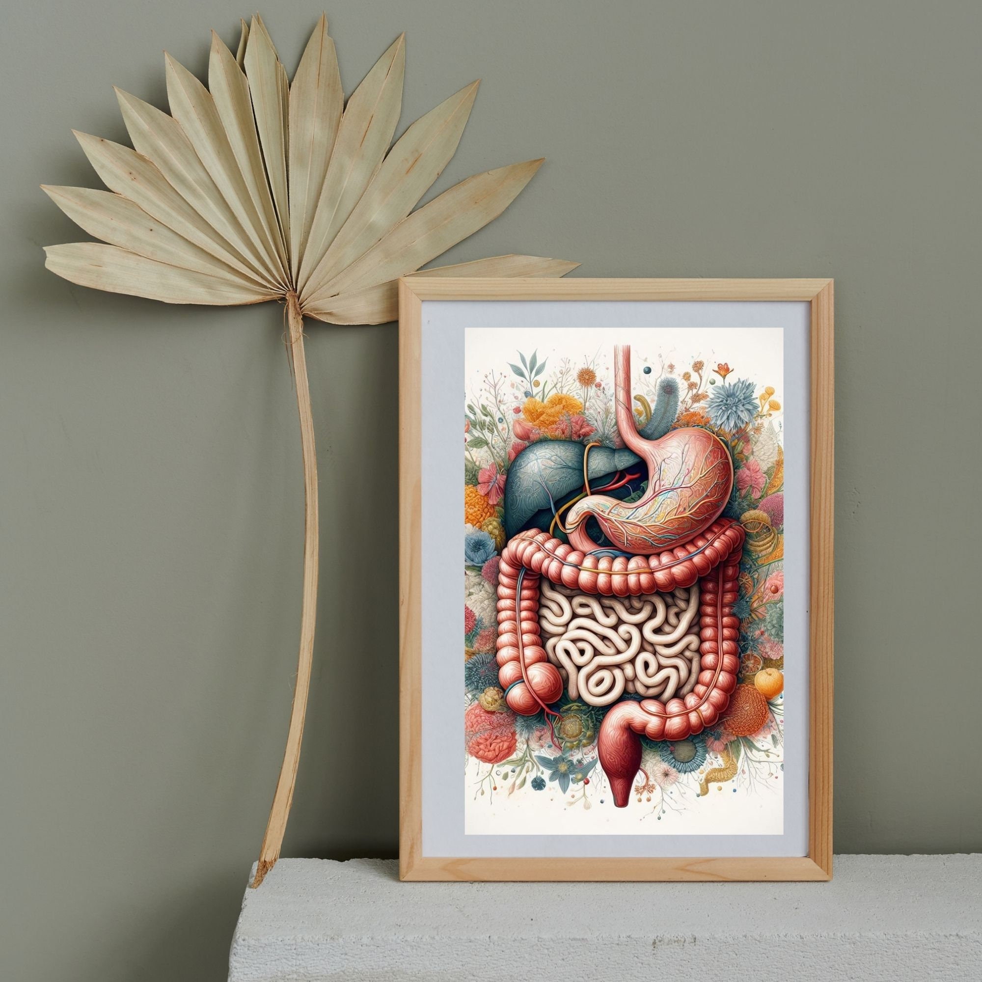 Anatomy of Digestive System, Stomach Anatomy Art, Gastroenterologist ...