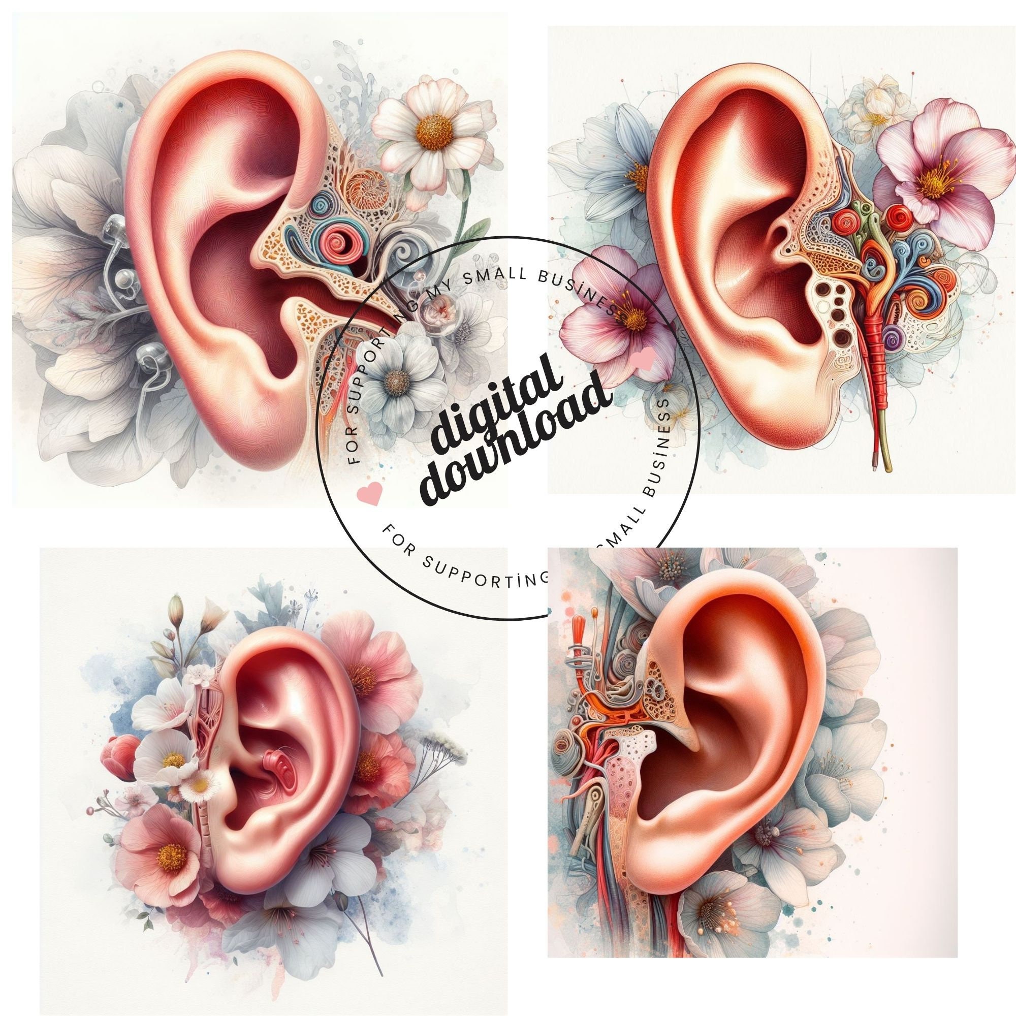 Anatomy of Human Ear Print, Audiology, Audiologist, AUD Graduation Gift ...