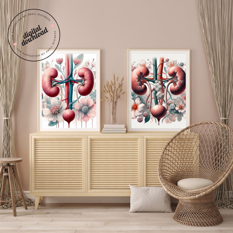 Urinary System, Nephrology Office Decor, Urinary Tract Anatomy Art ...