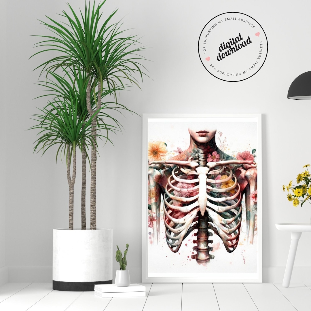 Rib Cage Anatomy Art, Skeleton Rib Cage, Chest Skeleton Art, Skeleton ...