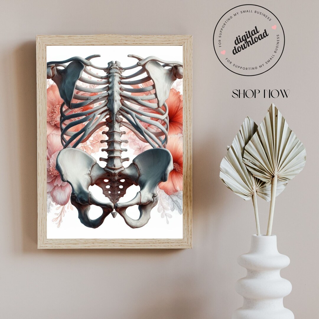 Anatomy Art Print, Chest Cage Anatomy Print, Skeleton Art, Orthopedic ...