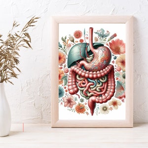 Anatomy of Digestive System, Stomach Anatomy Art, Gastroenterologist ...