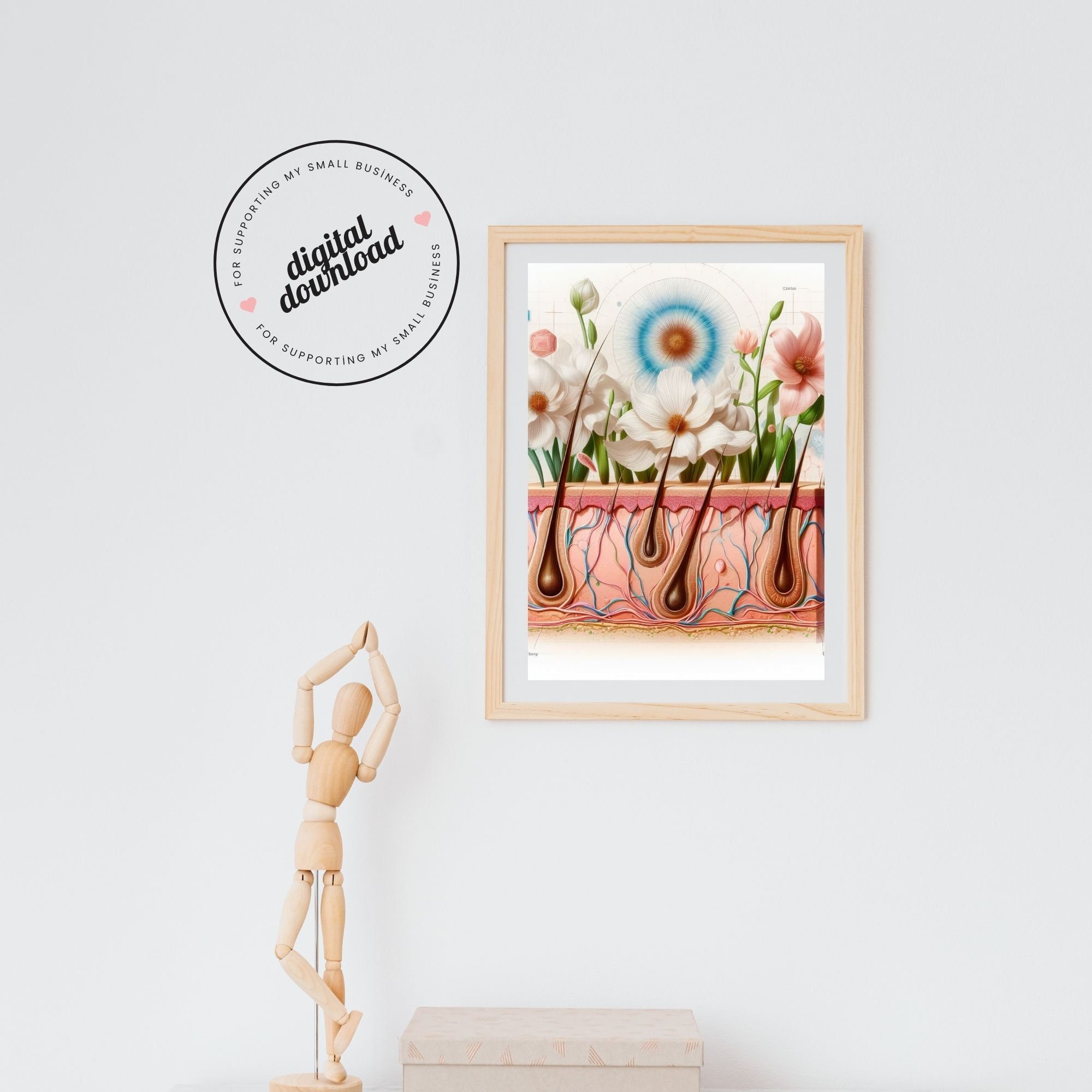 Hair Growth Cycle Artwork, Hair Growth Chart, Hair Anatomy Art ...