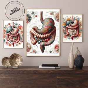 Anatomy of Digestive System, Stomach Anatomy Art, Gastroenterologist ...