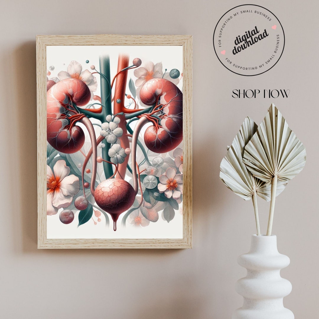 Urinary System, Nephrology Office Decor, Urinary Tract Anatomy Art ...