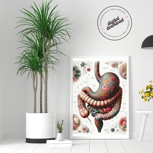 Anatomy of Digestive System, Stomach Anatomy Art, Gastroenterologist ...