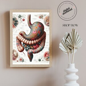 Anatomy of Digestive System, Stomach Anatomy Art, Gastroenterologist ...