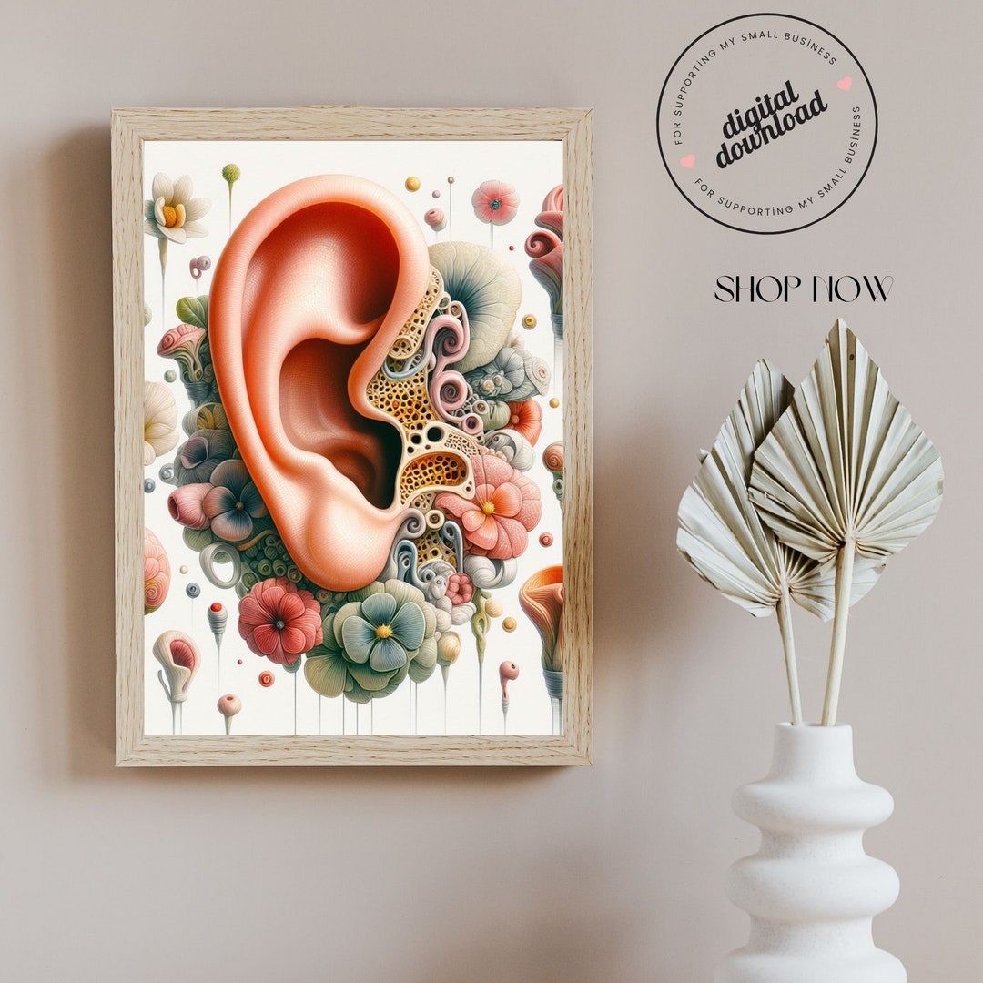 Auditory Ossicles Anatomy Art, Audiologist Gift, Ear Anatomy Print ...