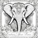 Nature's Palette: Animal-themed Coloring Sheets for Adults, 10 Pages ...