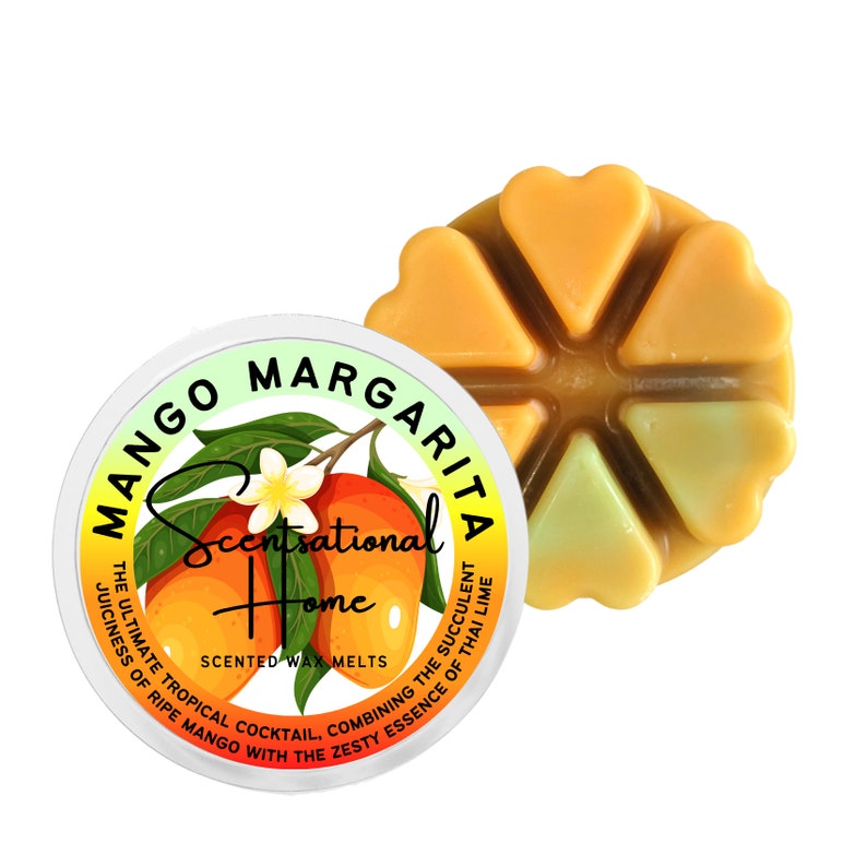 Highly Scented Soy Wax Melts 50g Long Lasting Wax Tart Eco Friendly Home Fragrance T Idea For