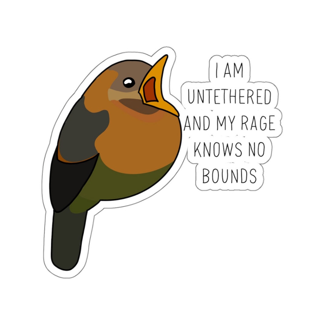 Always Sunny "i Am Untethered and My Rage Knows No Bounds" Bird Sticker ...