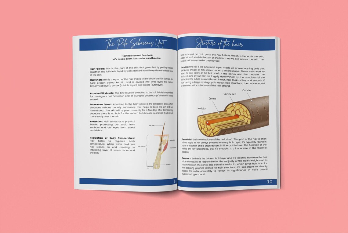 Japanese Head Spa CPD Training Manual - Etsy