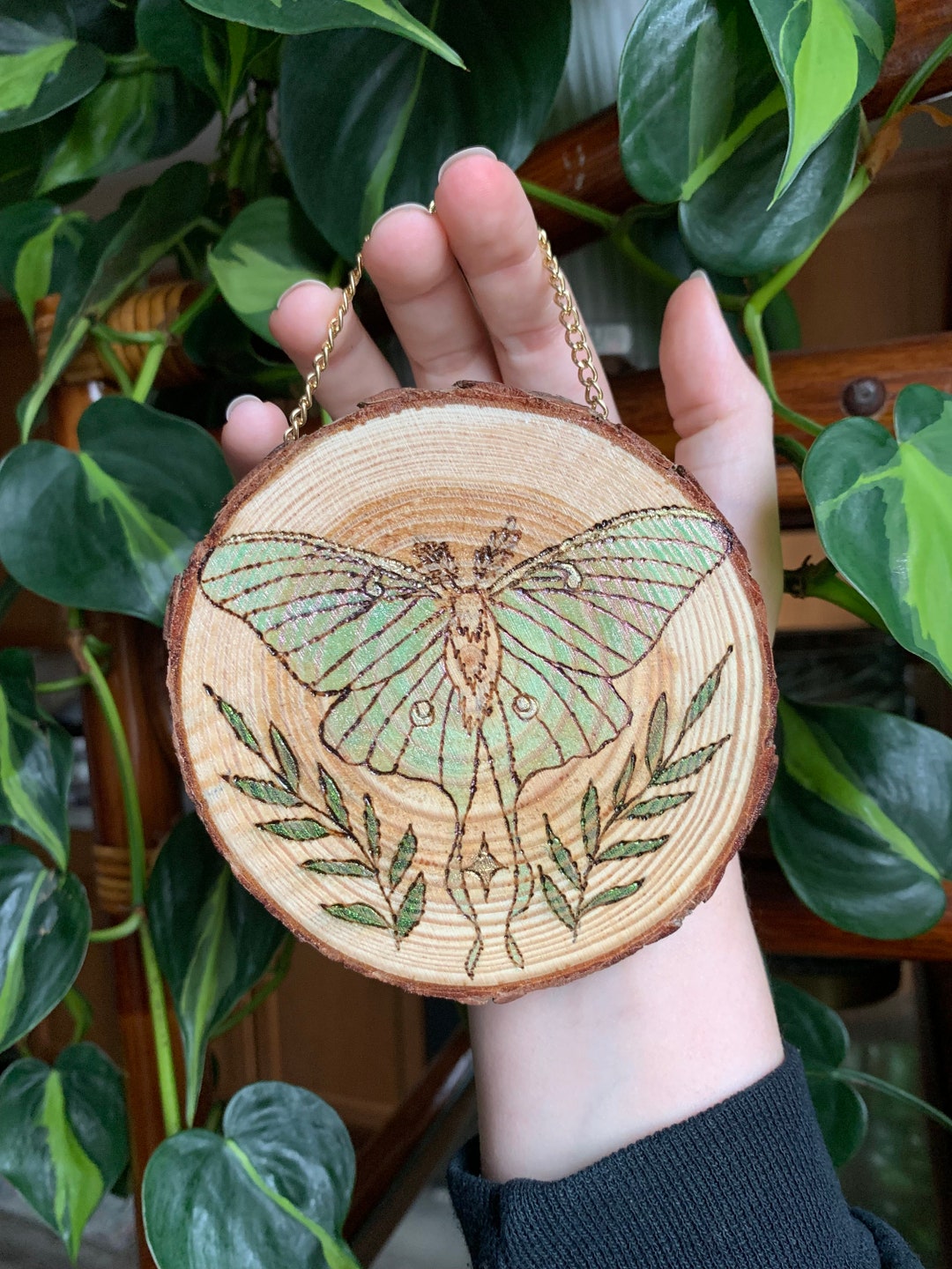 Boho Lunar Moth Wall Decor - Etsy