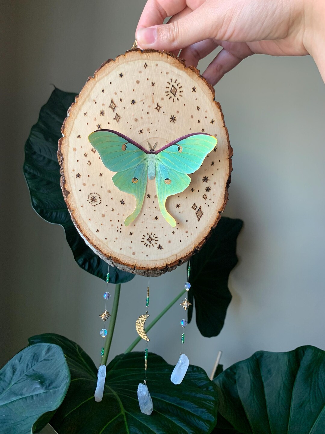 Celestial Luna Moth Wall Hanging With Crystals - Etsy