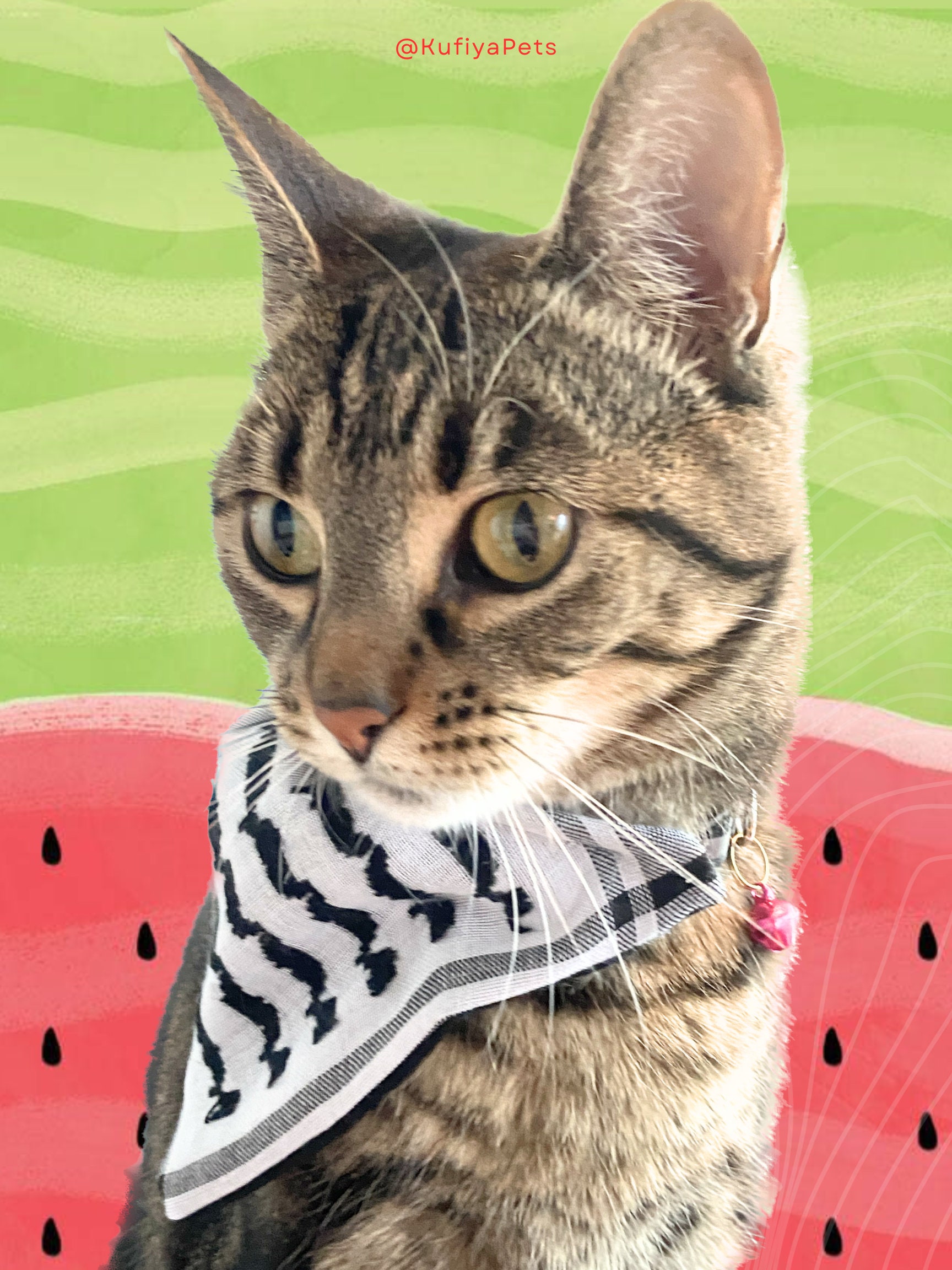 Kufiya keffiyeh Pet Bandana Collar Palestine Jordan Scarf - Etsy
