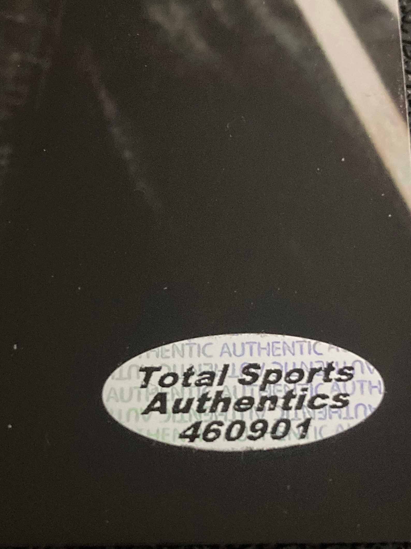 Stephanie Mcmahon Triple H Signed WWE 8x10 Photo COA & Hologram - Etsy