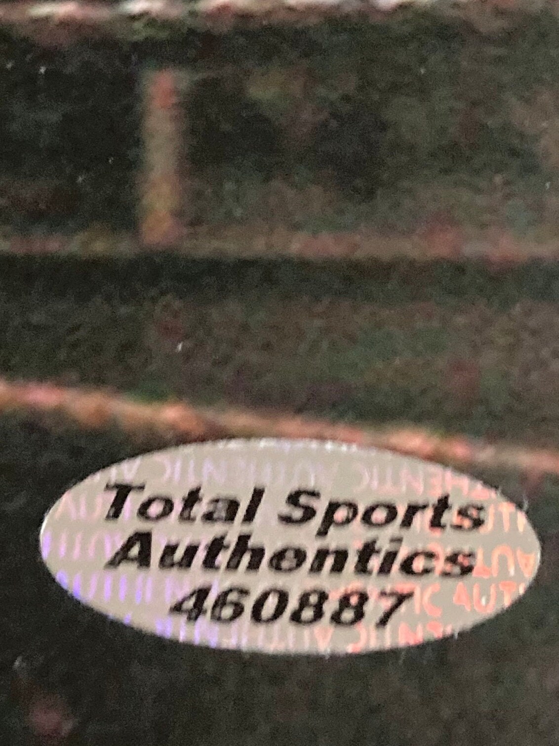 Stone Cold Steve Austin Signed WWE 8x10 Photo COA & Hologram - Etsy