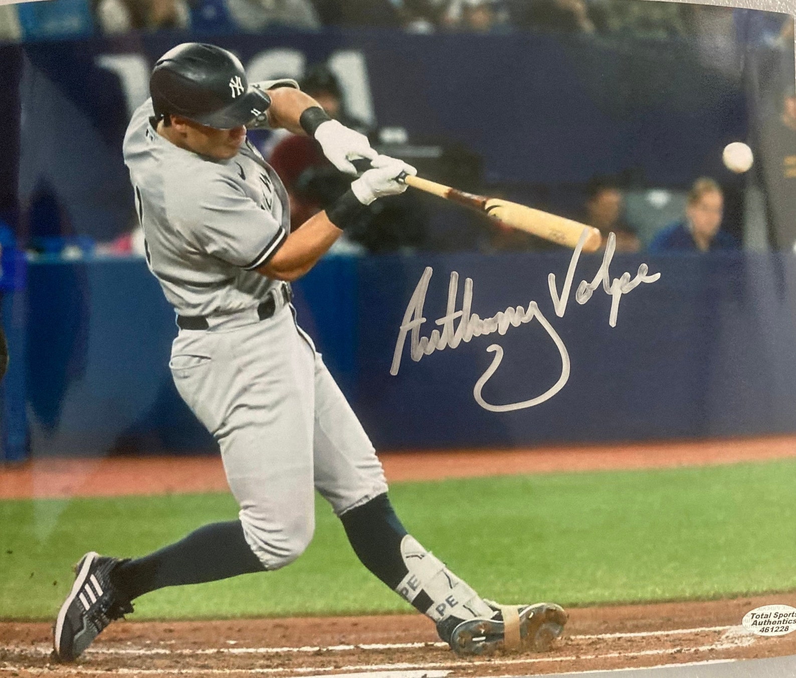 Anthony Volpe Signed New York Yankees 8x10 Photo COA & Hologram - Etsy