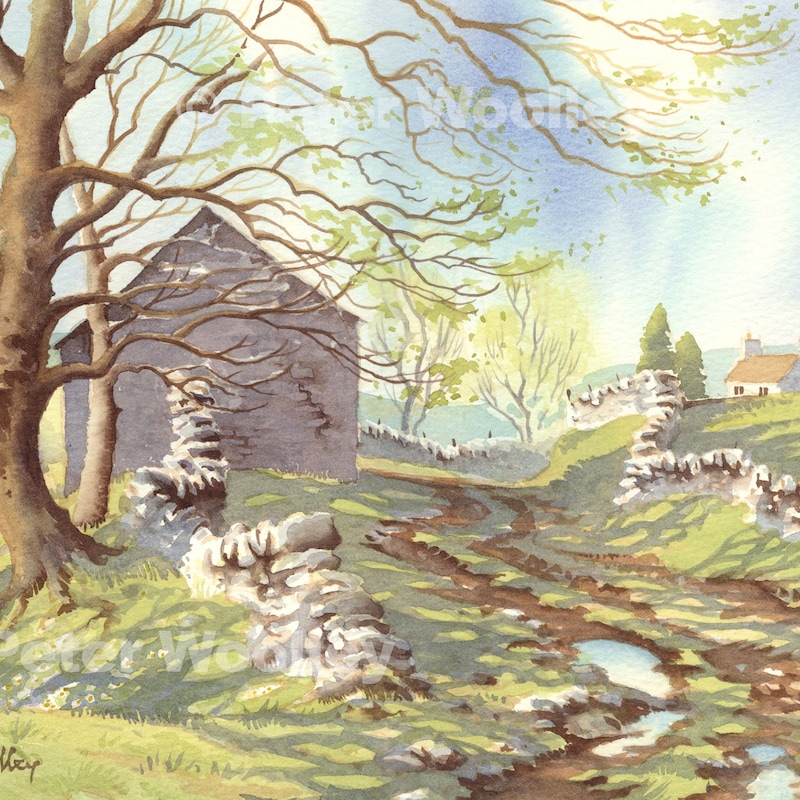 PeterWoolleyArtist - Etsy