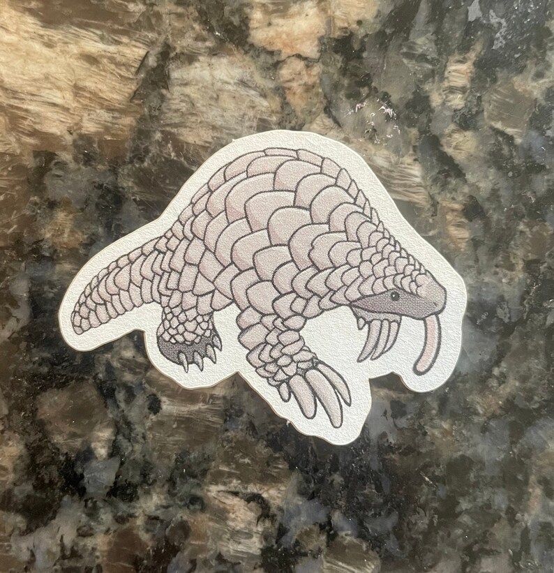 Pangolin Sticker - Etsy
