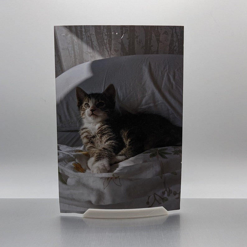 Photo Stands Stand up and Display Photos Without the Need for a Frame ...