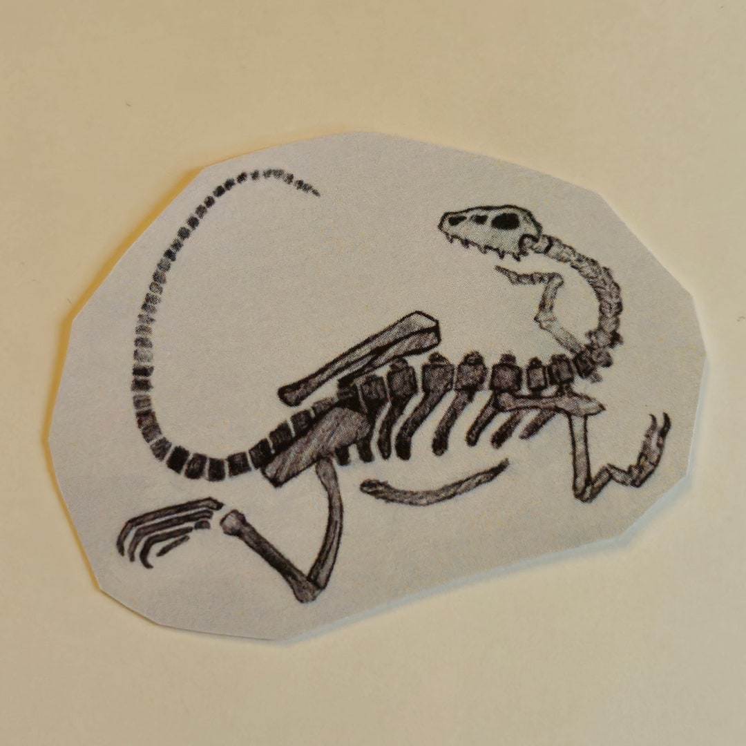 Dinosaur Bones Sticker - Etsy