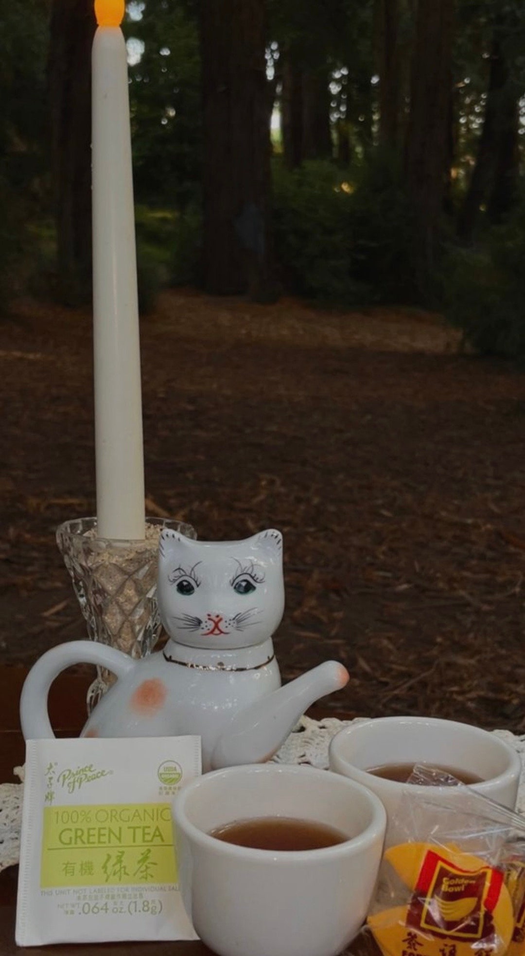 Vintage Hand-painted Cat Teapot Gift Set Lucky Cat Teapot Gift Set - Etsy