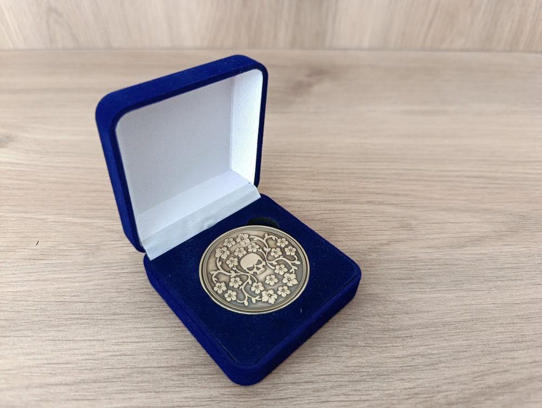 Unique Ukrainian Military Challenge Coin CHOICE COIN in Case - Glory ...