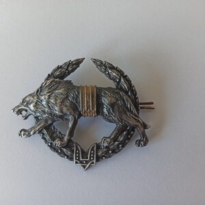 Ukrainian Special Operations Beret Badge - Glory to Ukraine Soldier Cap ...