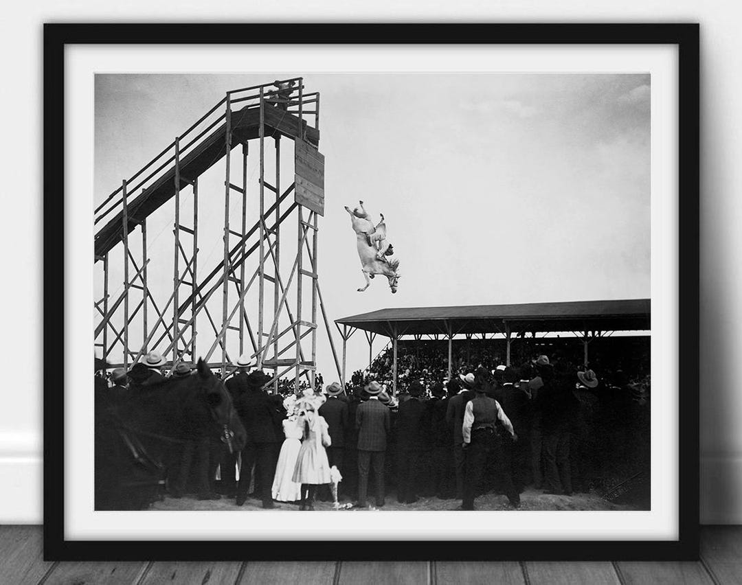 Horse Diving Circus Show, Black and White Photo, Vintage Wall Art ...
