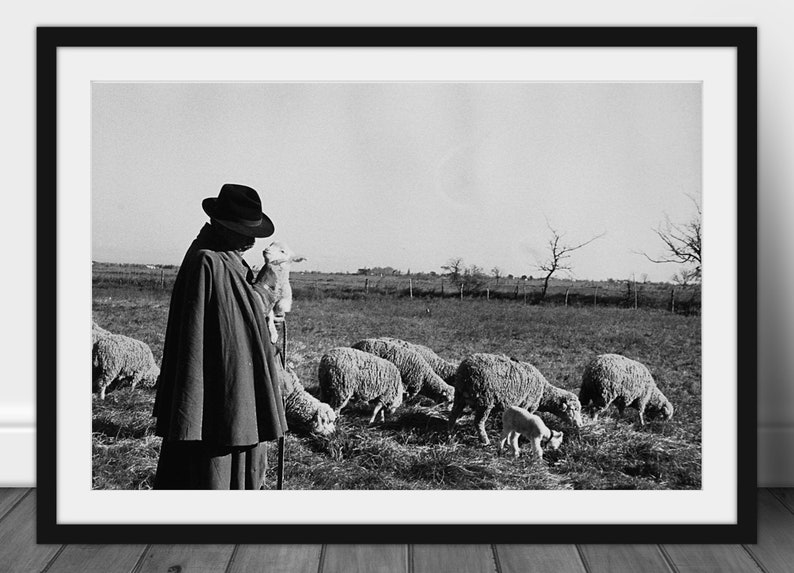 Shepherd With Lamb, Black and White Photo, Historical Vintage Wall Art ...