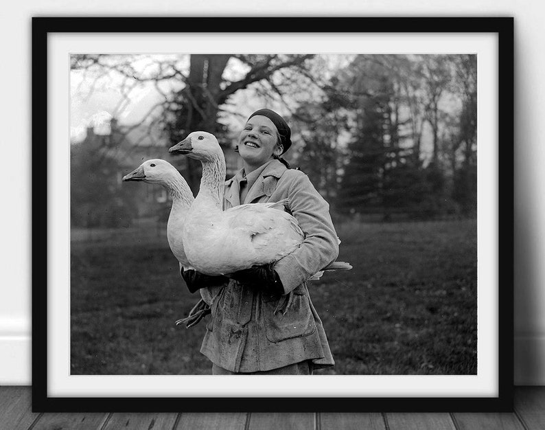 Girl Carrying Double Geese at a Farm, 1930s Vintage Print Black and ...