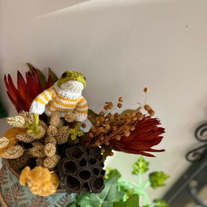Crochet Frog,crochet Pattern,froggie's Sweater and Dress,finished Toy ...