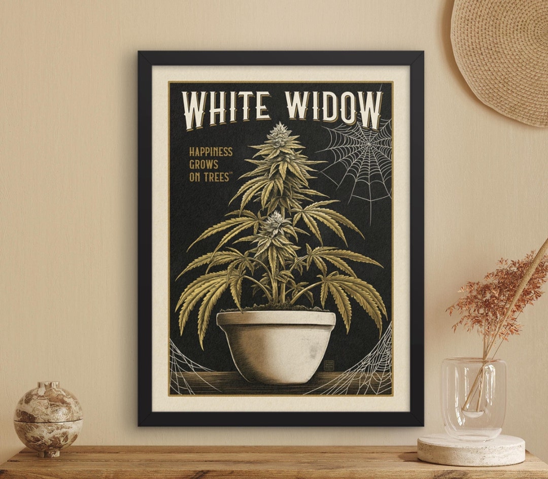 Weed Poster, White Widow Wall Art, Stoner Gift, Elevate Your Space With ...