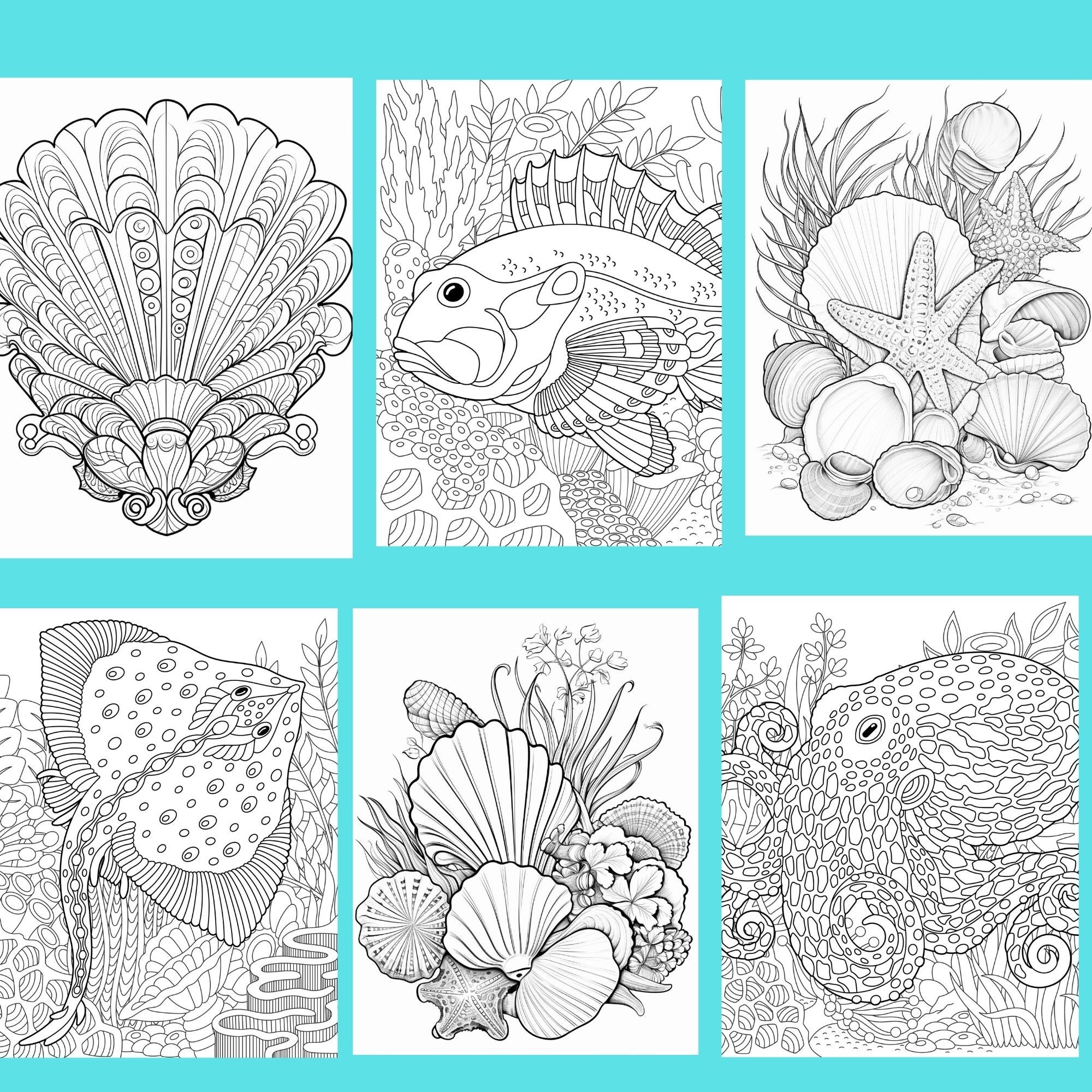 119 Seashell Sealife Coloring Pages, Printable, Instant Digital ...