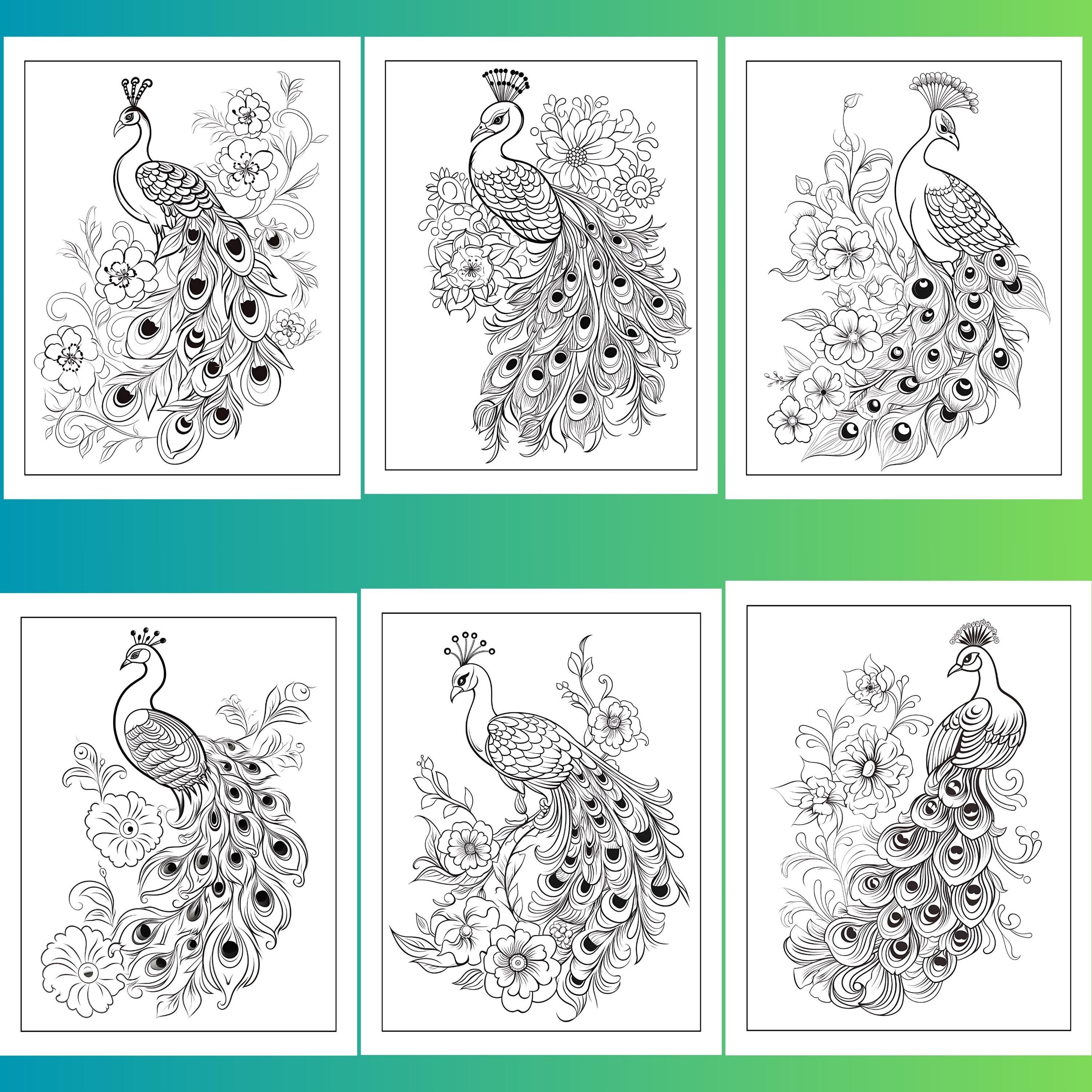 200 Peacocks Coloring Pages, Birds & Feathers (digital Download) - Etsy
