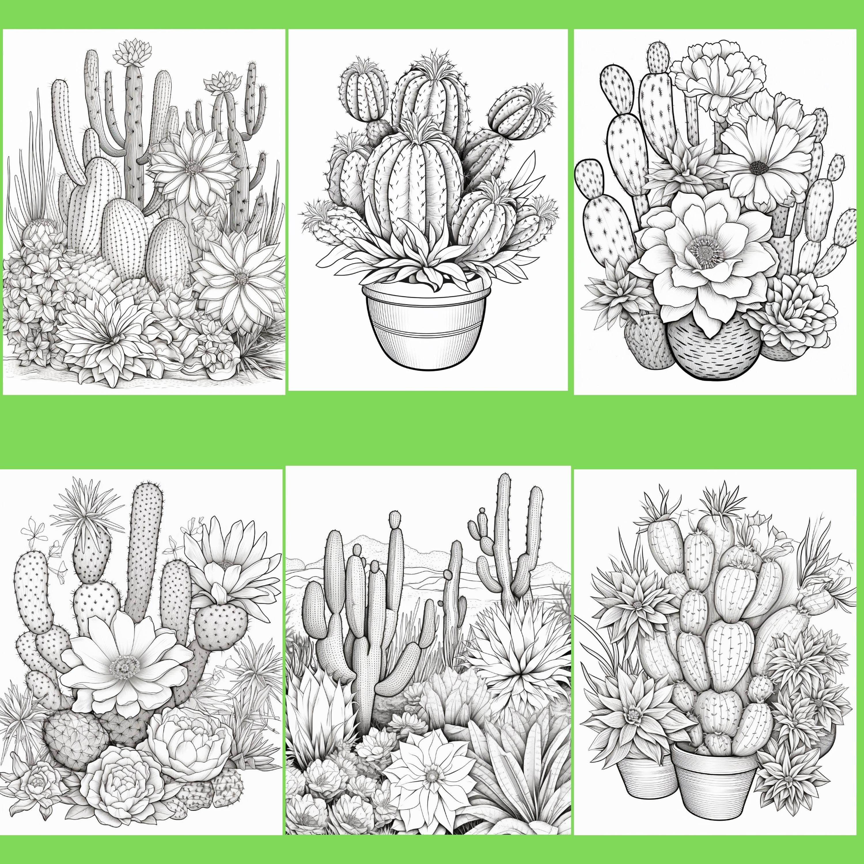 387 Cactus Coloring Pages, Printable, Instant Download, Stress Relief ...
