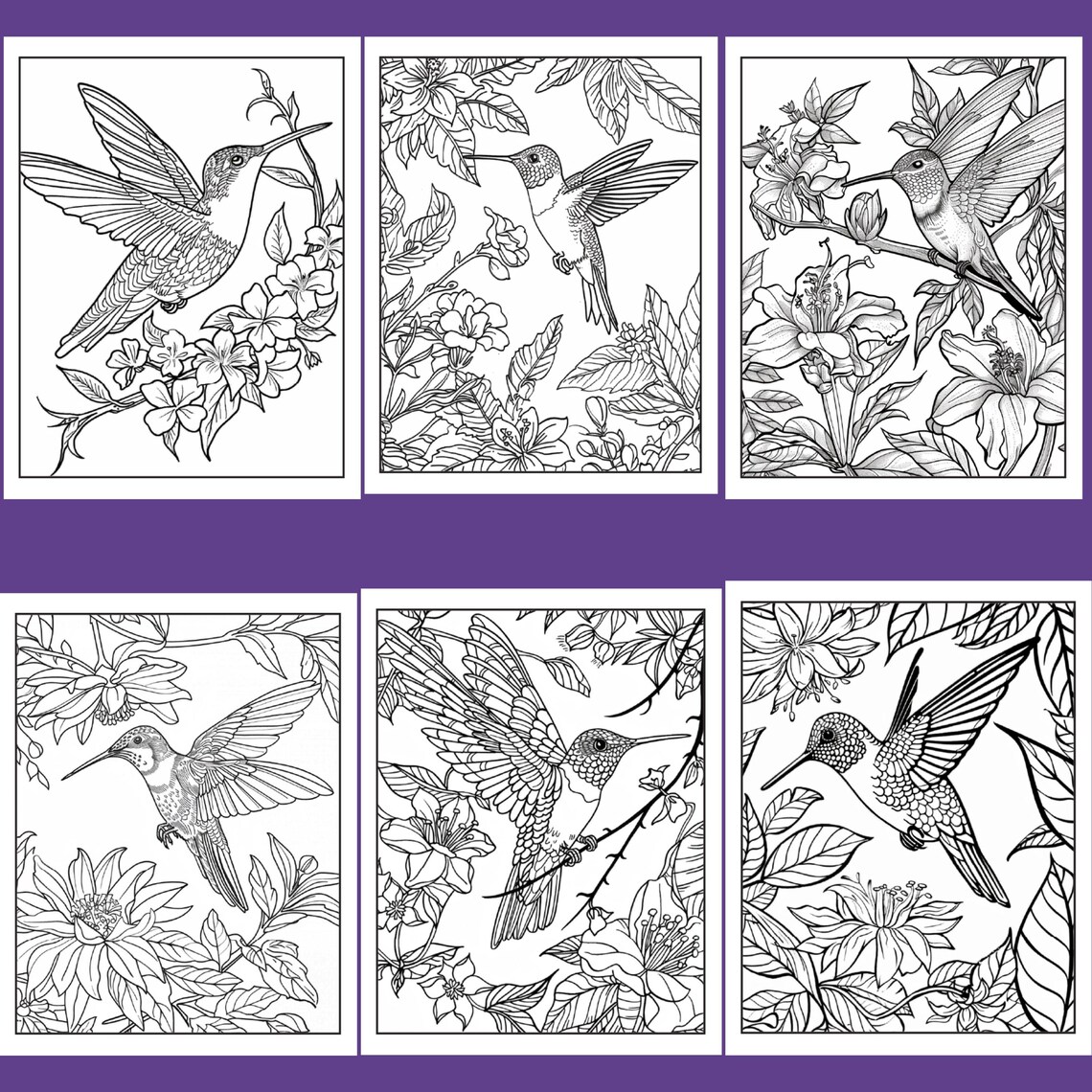 200 Hummingbird Coloring Pages, Printable, Instant Download, Stress ...