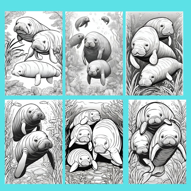 21 Manatee Coloring Pages, Printable, Instant Download, Stress Relief ...