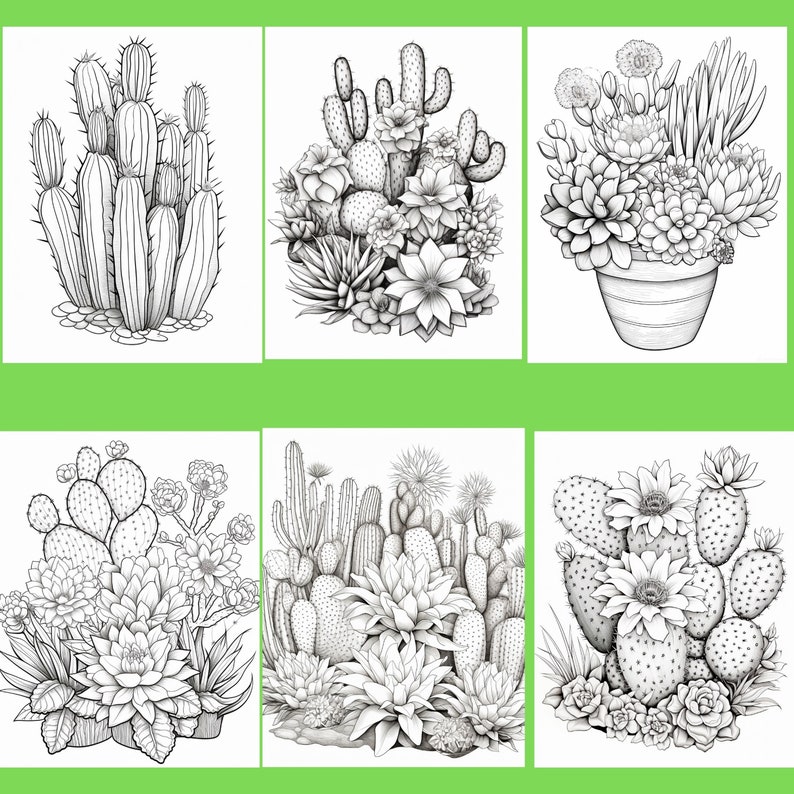 387 Cactus Coloring Pages, Printable, Instant Download, Stress Relief ...