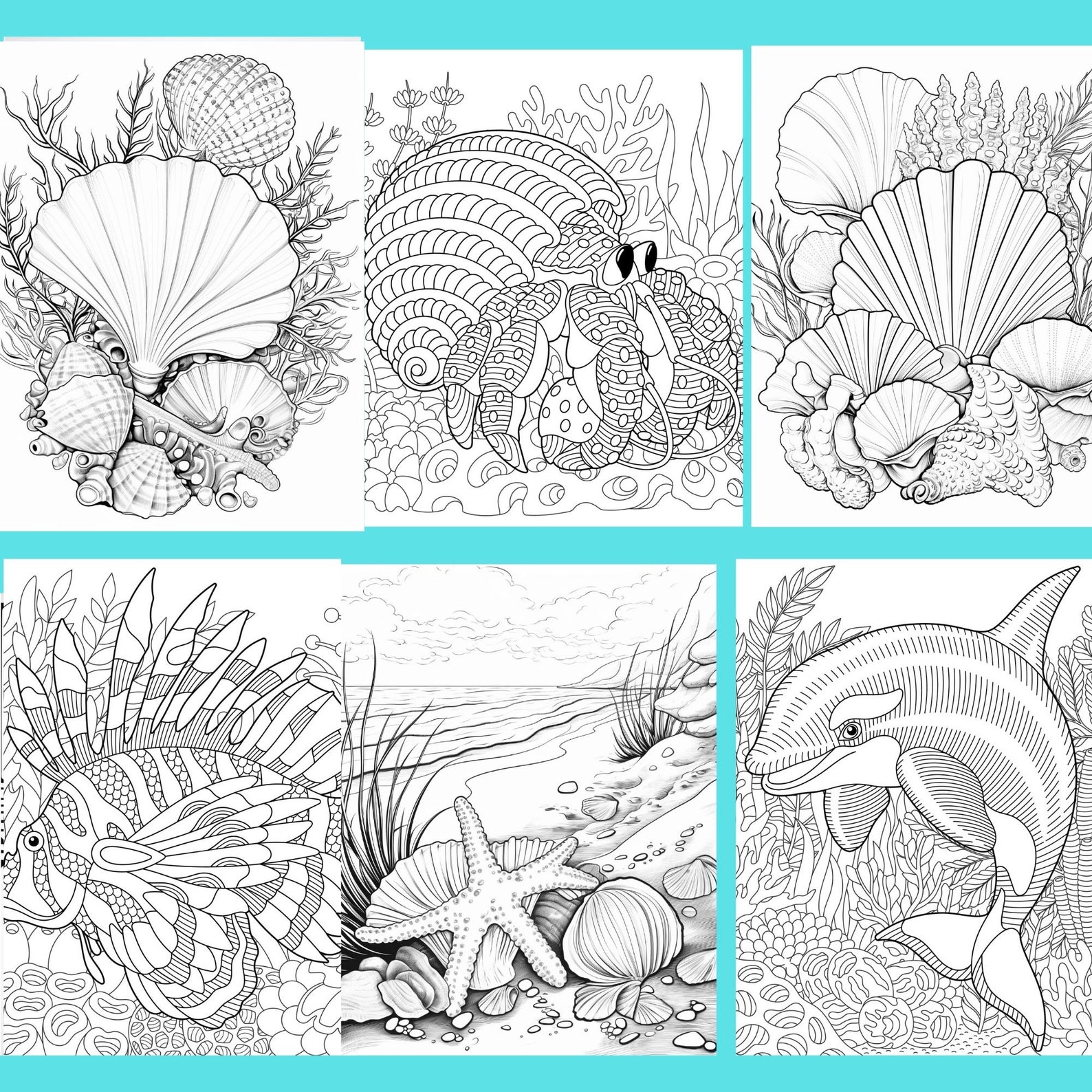 119 Seashell Sealife Coloring Pages, Printable, Instant Digital ...