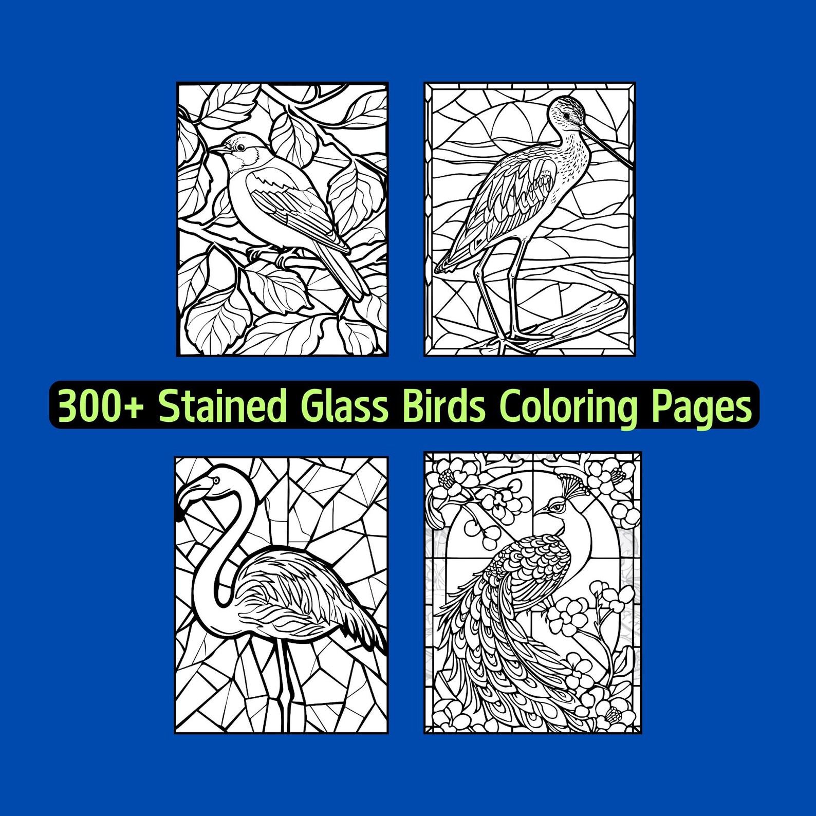 300+ Stained Glass Birds Coloring Pages, Printable (digital Download ...