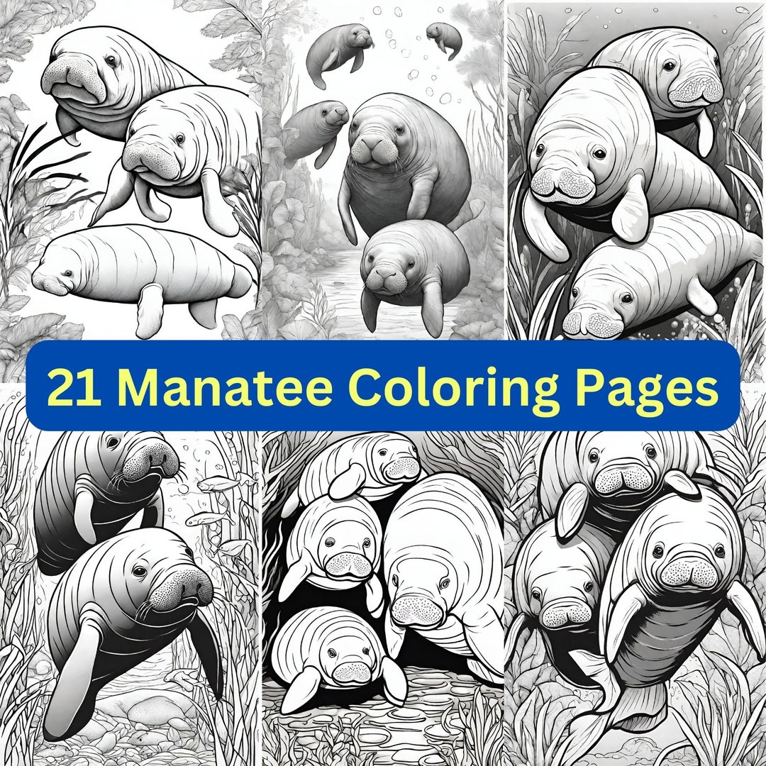 21 Manatee Coloring Pages, Printable, Instant Download, Stress Relief ...