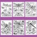 100 Dragonfly Coloring Pages, Printable, Instant Download, Stress ...